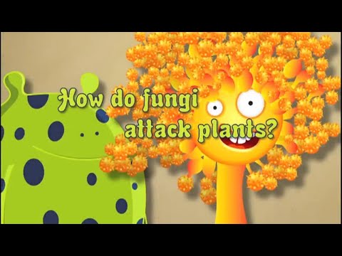 Fungicide No. 2: How Do Fungi Attack Plants?