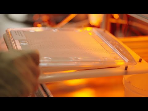 Fisk Johnson: Chairman and CEO of SC Johnson | Sustainability Advocate