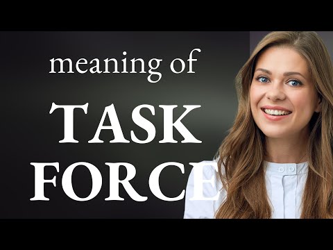 Task force — TASK FORCE meaning