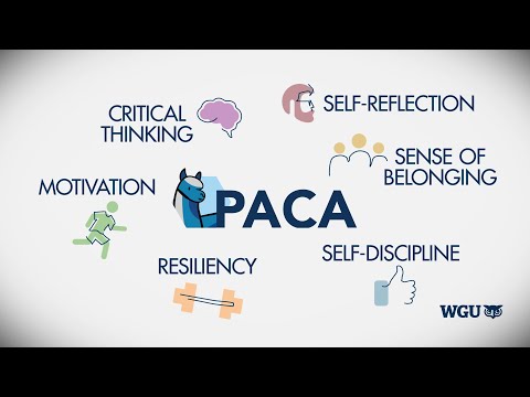 WGU Academy 2.0: Learn what skills can help you succeed in college and beyond.
