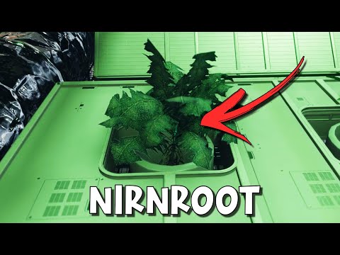 Steam Community :: Video :: Bethesda Added Nirnroot to Starfield | #029