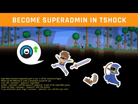 Terraria - Become Superadmin in TShock