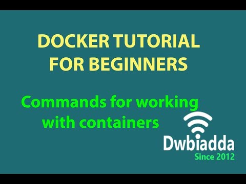 Docker commands for working with containers | Docker tutorial