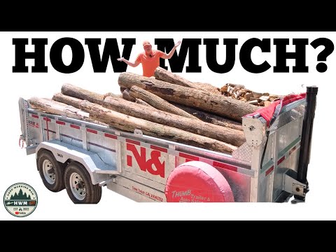 How Do You Cut So FAST? $10 Chainsaw Upgrade!!