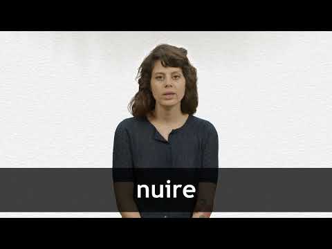 English Translation of “NUIRE” | Collins French-English Dictionary