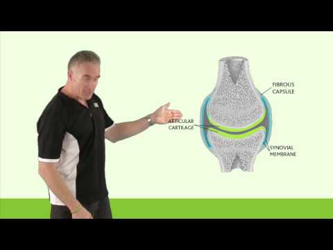 Injuries to Articular Cartilage