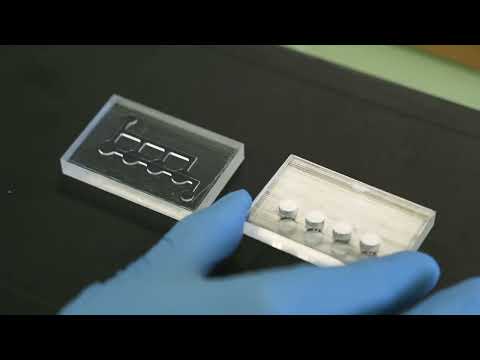 Atlantic Ket Med | Case study: Organoids on a Chip