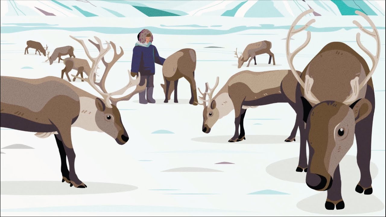 Arctic Connected | Impacts of climate change on Indigenous communities