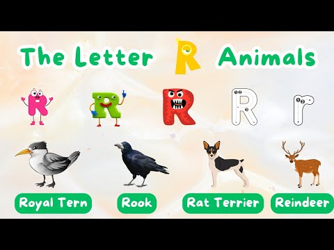🦒🐍🐢 R-R-R-Animals: Meet the Wild Creatures of the Letter 'R'! 🎉 #letterR #animals