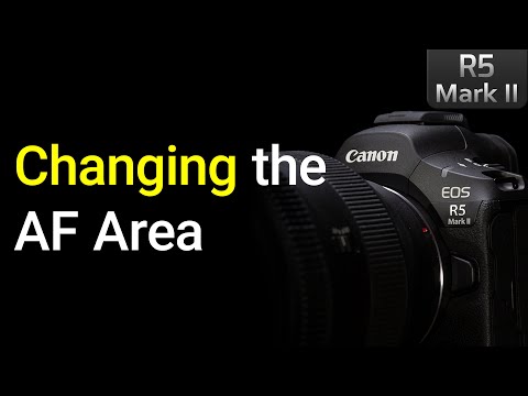 Canon R5 II: Detailed setup for wildlife & sports photography