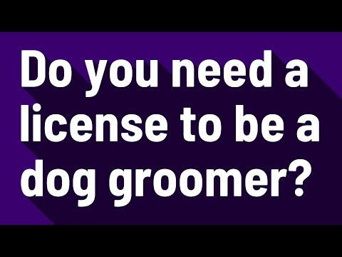 Do you need a license to be a dog groomer?