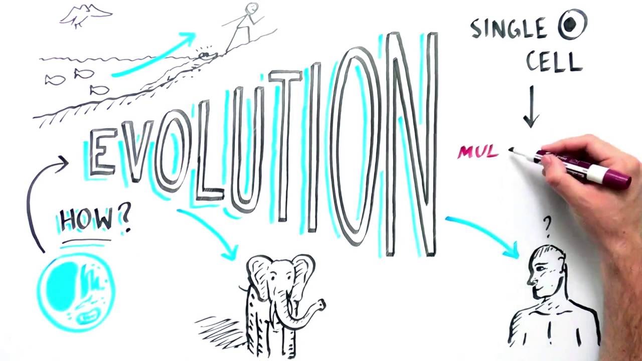 The molecular basis of animal origins (Eng/Cat/Sp. sub)