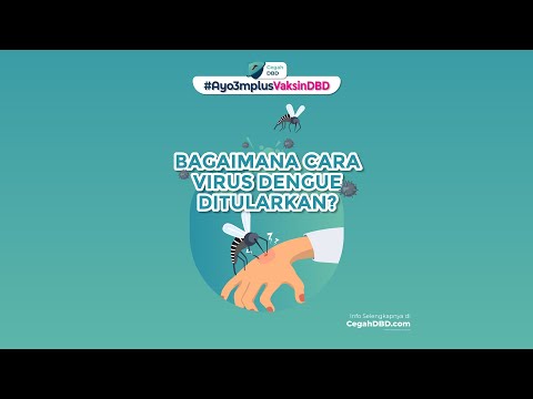Bagaimana ya cara virus dengue ditularkan?