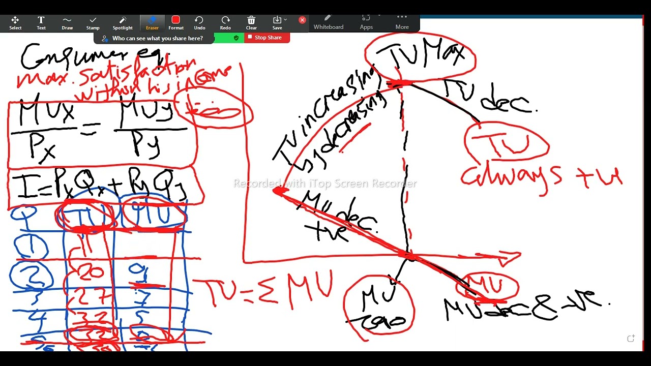 consumer behavior and utility elrahmany