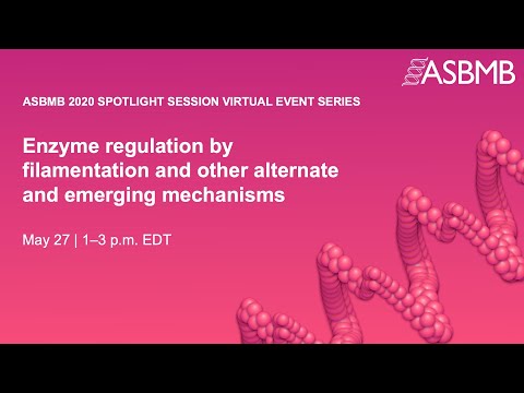 Enzyme regulation by filamentation and other alternate and emerging mechanisms
