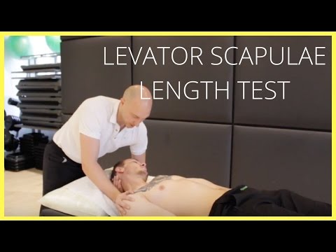Levator Scapulae Length Test