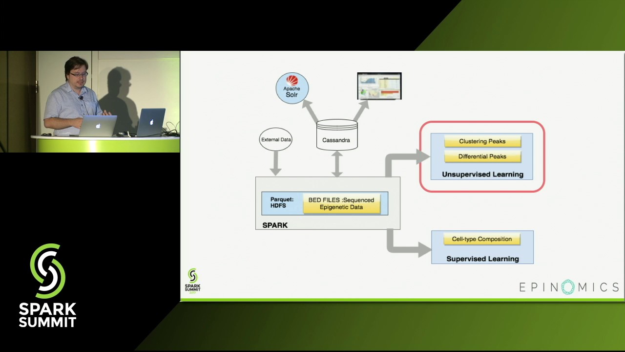 Building Genomic Data Processing and Machine Learning Workflows Using Apache Spark