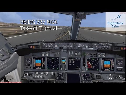 Toga on 737 zibo mod - buildingmu