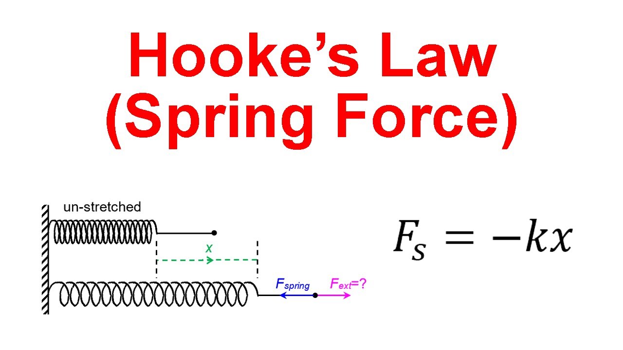 Hooke's Law (Spring Force) with Examples