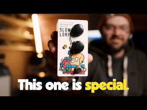 NonHuman Audio Slow Loris - alxndr x Little Box exclusive | Reverb