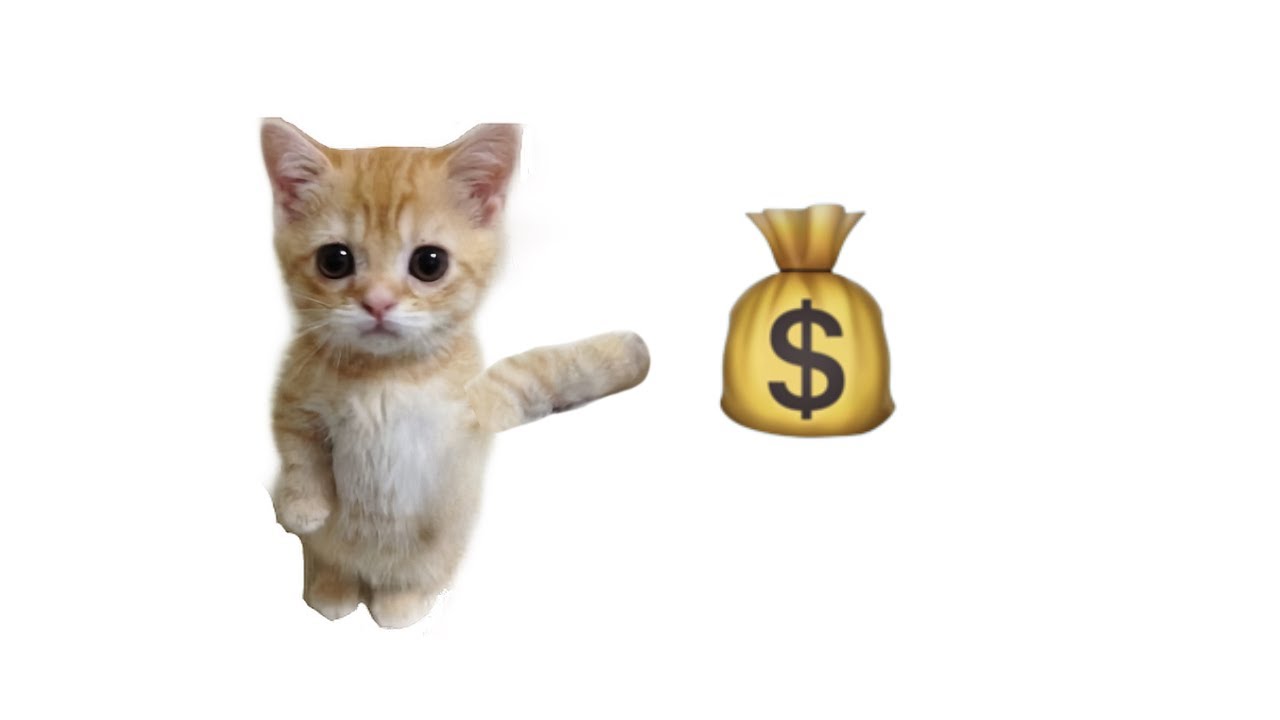 Kitty Explains Money Laundering