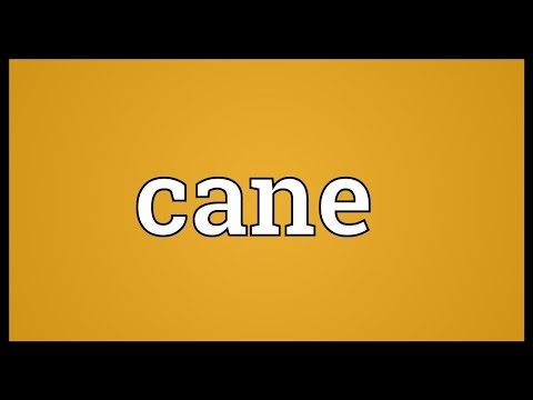 Cane Meaning