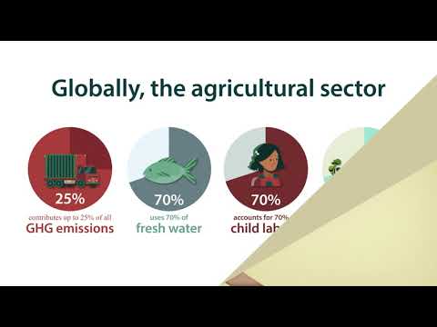 OECD-FAO Guidance for Responsible Agricultural Supply Chains