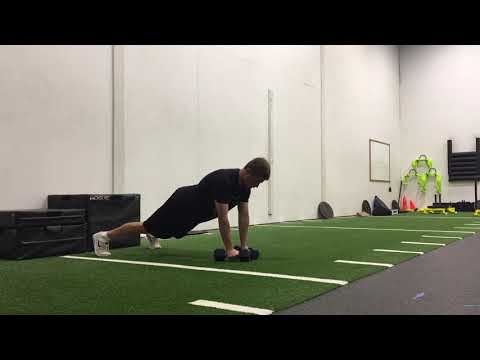 Fix Your Dumbbell Plank Row (Renegade Row) – Edwards Training Systems