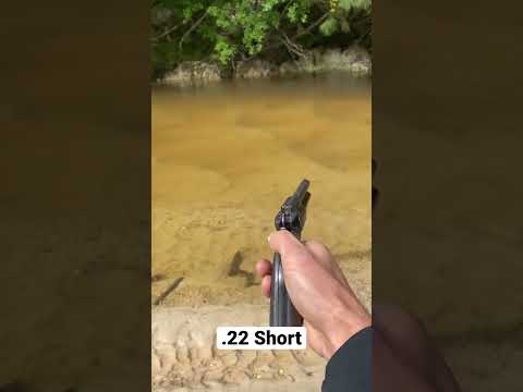 Heritage Roughrider .22 Short Power Test