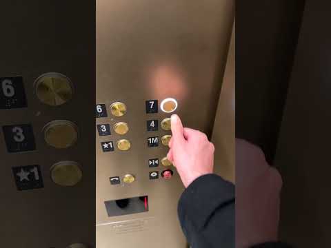 Exploring NYPL Stavros Niarchos Foundation Library Rooftop Terrace ...