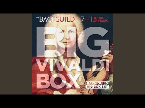 Concerto Grosso in D minor for Two Violins and Strings, Op 3, No. 11 RV 565: iii. Allegro