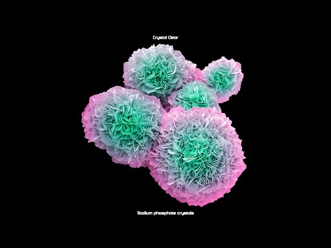 Crystal Clear: Sodium Phosphate Crystals