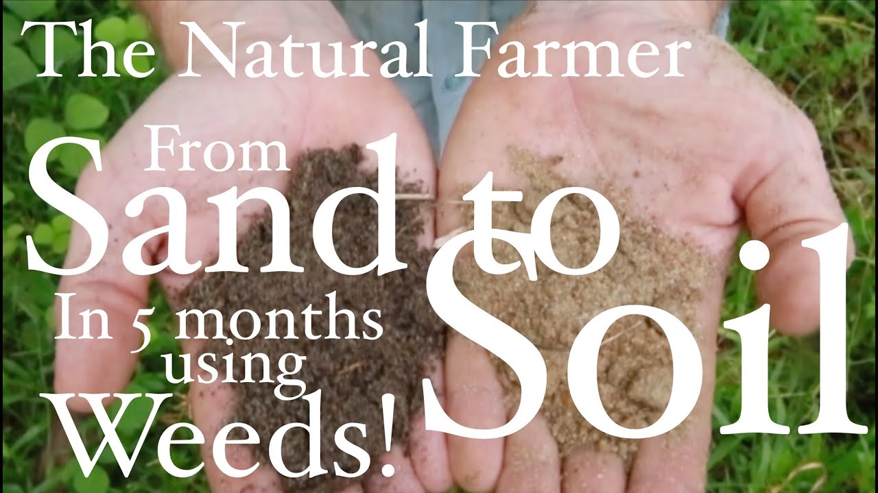 Fix Sandy Soil Using Weeds - John Kaisner The Natural Farmer