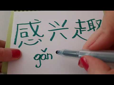 HSK3exam Vocabulary 感兴趣 ( gan xing qu ) BE INTERESTED IN Learning Mandarin Chinese Stroke order asmr