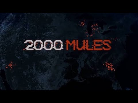 2000 Mules documentary review