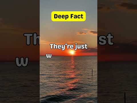 Mind-Blowing Deep Facts You Never Knew! 🤯 #factsheet #facts