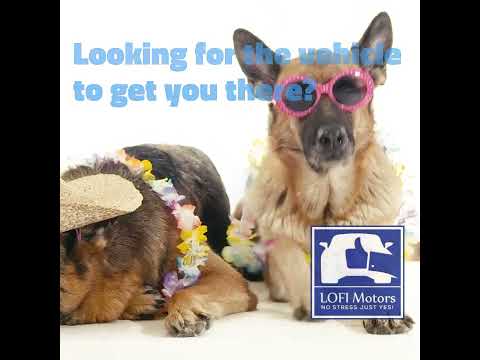 Dog gone great used cars in Corpus Christi Texas!