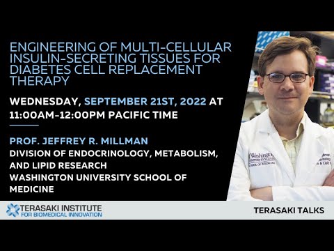 Engineering of Multi-Cellular Insulin Secreting Tissues for Diabetes Cell Replacement Therapy - T…