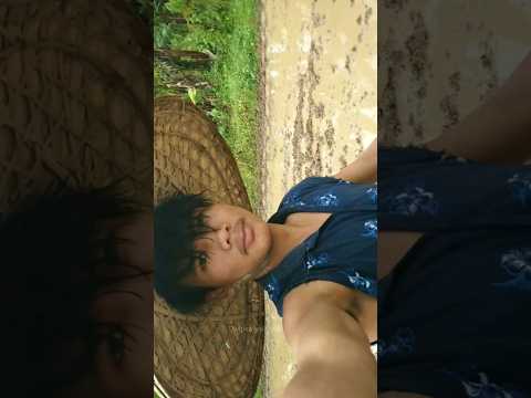Mini vlog 3 #assam #vlog #assamese #minivlog #travel#assameseculture #shortvideo #assamesesong