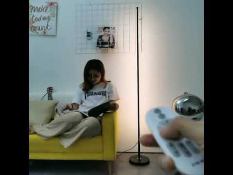Minimalist floor lamp