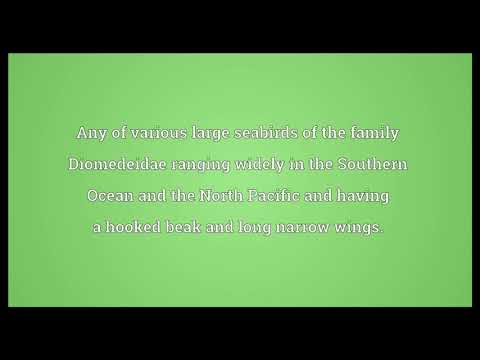 Albatross Meaning