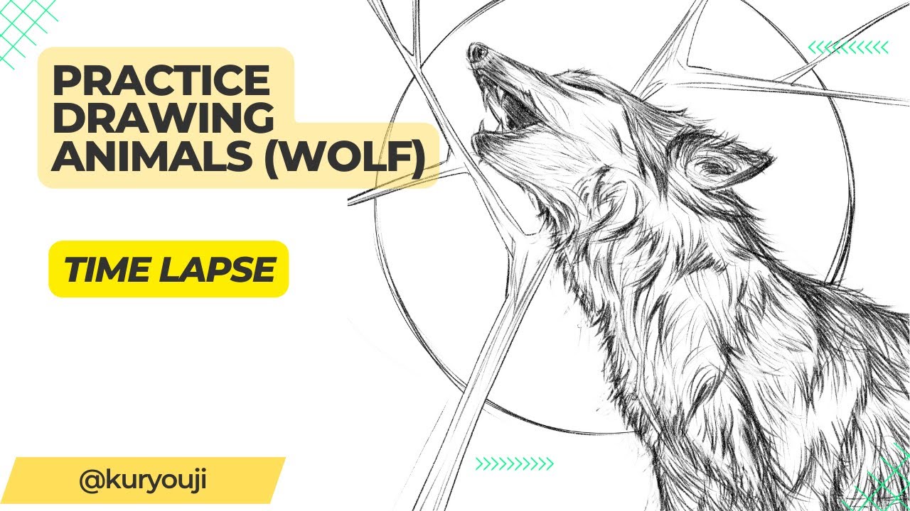【Practice study drawing WOLF】Time Lapse