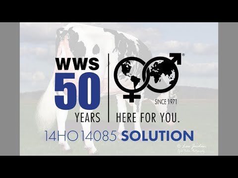 14HO14085 SOLUTION