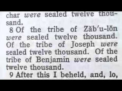 1141 Revelation 7 Chronological Bible (Vision of God: Heavenly Multitude)