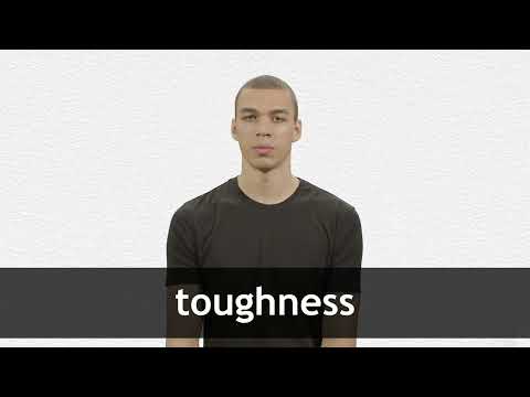 TOUGHNESS definition and meaning | Collins English Dictionary