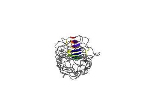 Decorin Crystal Structure