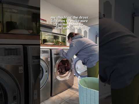 The paranoia of my cat in the dryer always gets to me. #cats #funny #shorts