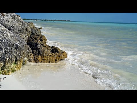 Bahia Honda State Park: Best Beach In Florida Keys [2025] 4K