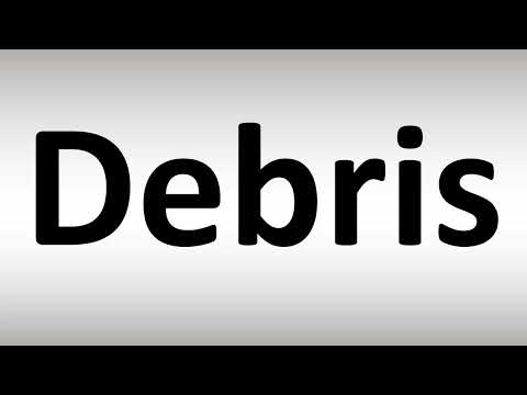 How to Pronounce Debris