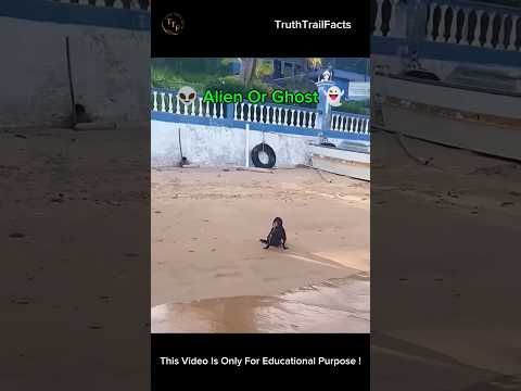 👽 Is This A Ghost Or An Alien ? 🤔 | #shortsfeed #tamilshorts #tamilaudience #tamil #tamilnadu